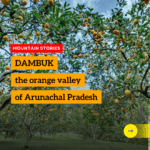 Northeast travels: Dambuk – the orange valley of Arunachal Pradesh