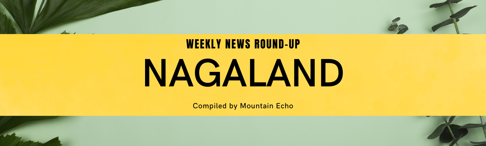 NAGALAND: Weekly News Round-up