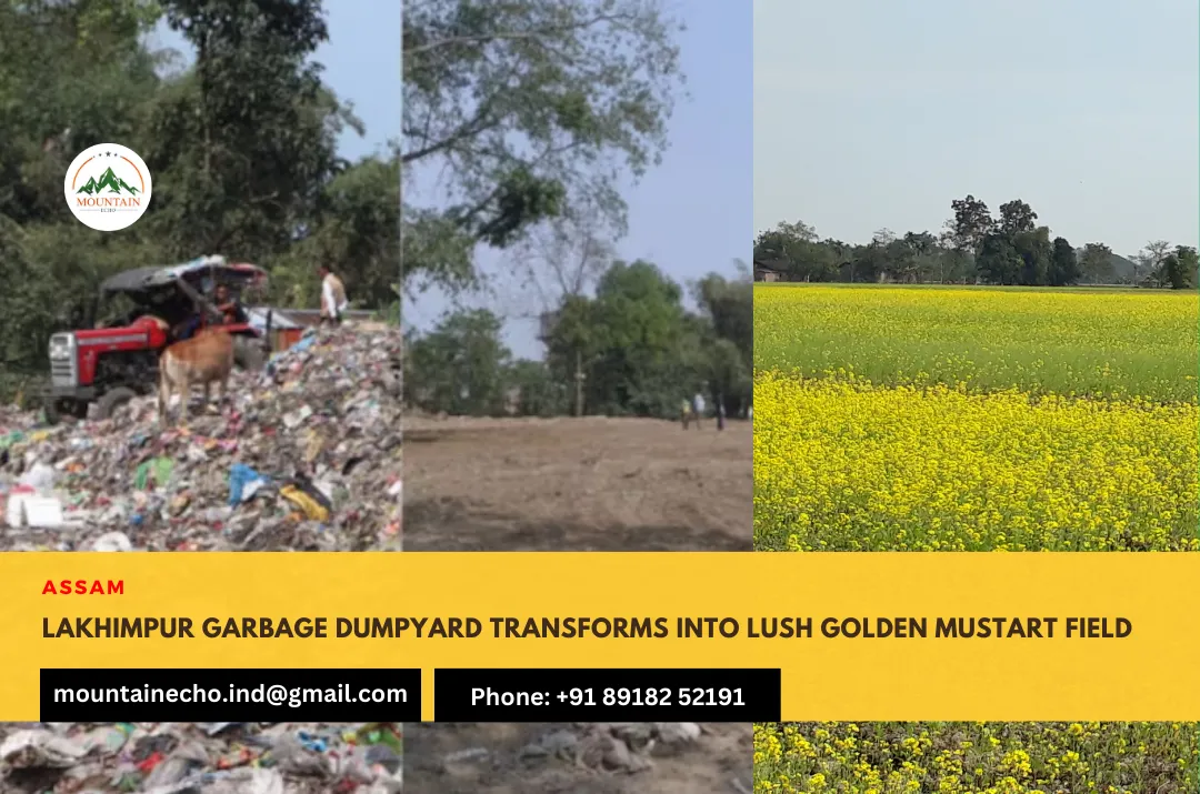 Lakhimpur Municipal Board clears 40 years legacy waste in 9 months, MLA ...
