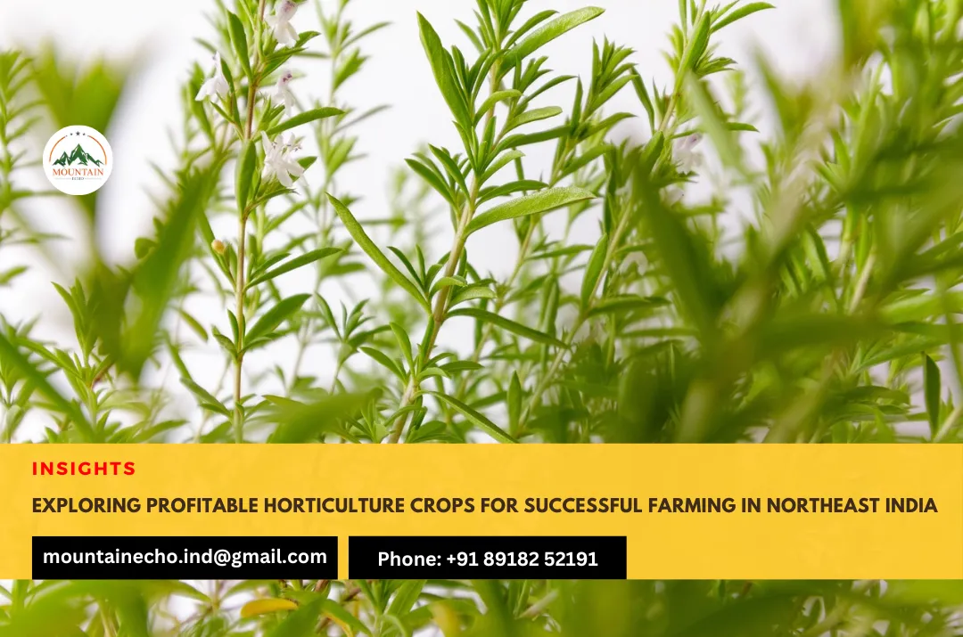 Exploring Profitable Horticulture Crops for Successful Farming in ...